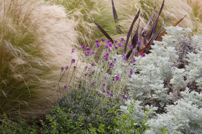 Paradise Designs | Water Conscious Softscapes